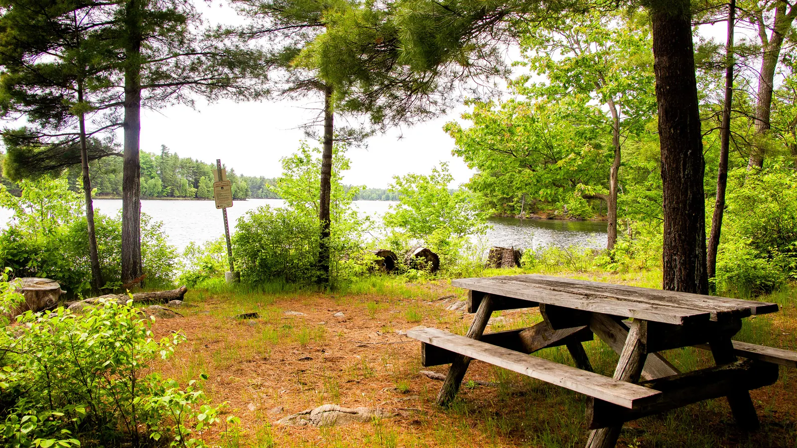 Depot Lakes Conservation Area | Quinte Conservation