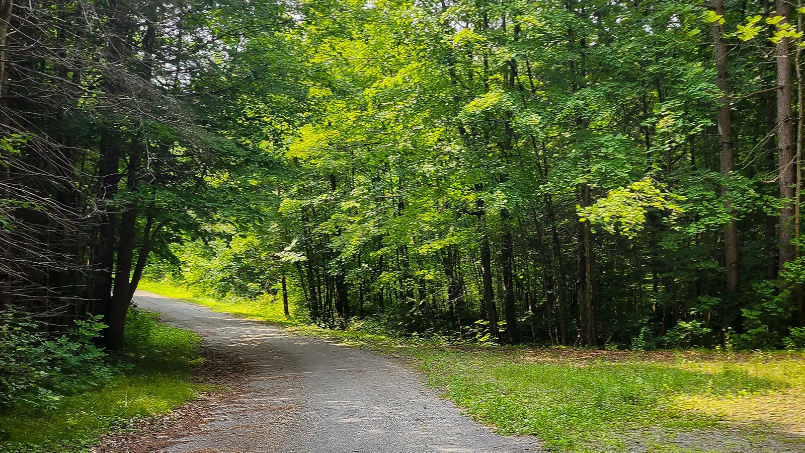 Vanderwater Conservation Area | Quinte Conservation