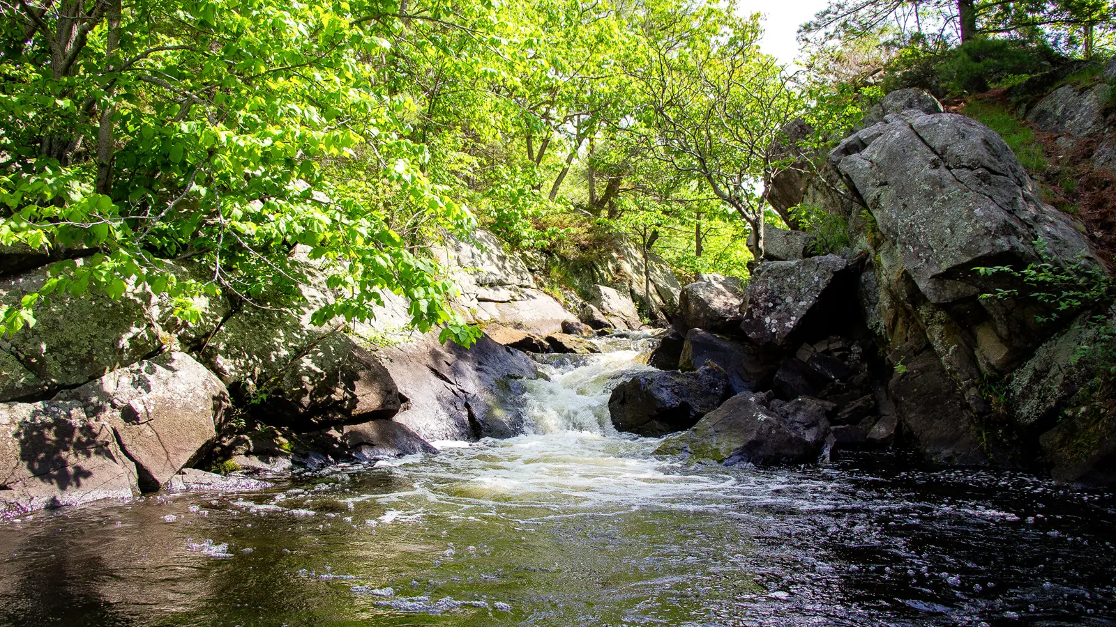 Depot Lakes Conservation Area | Quinte Conservation