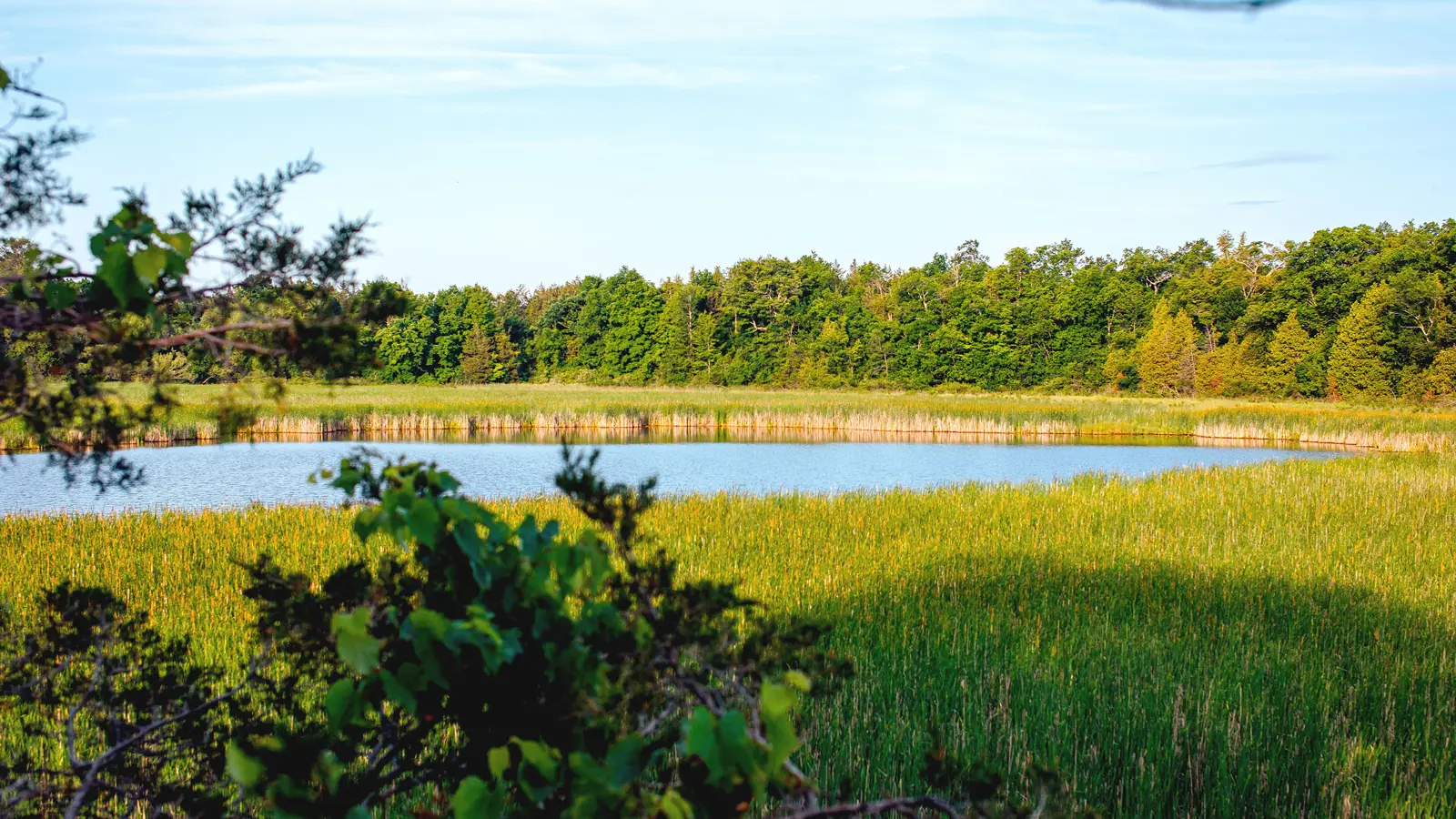 Little Bluff Conservation Area | Quinte Conservation