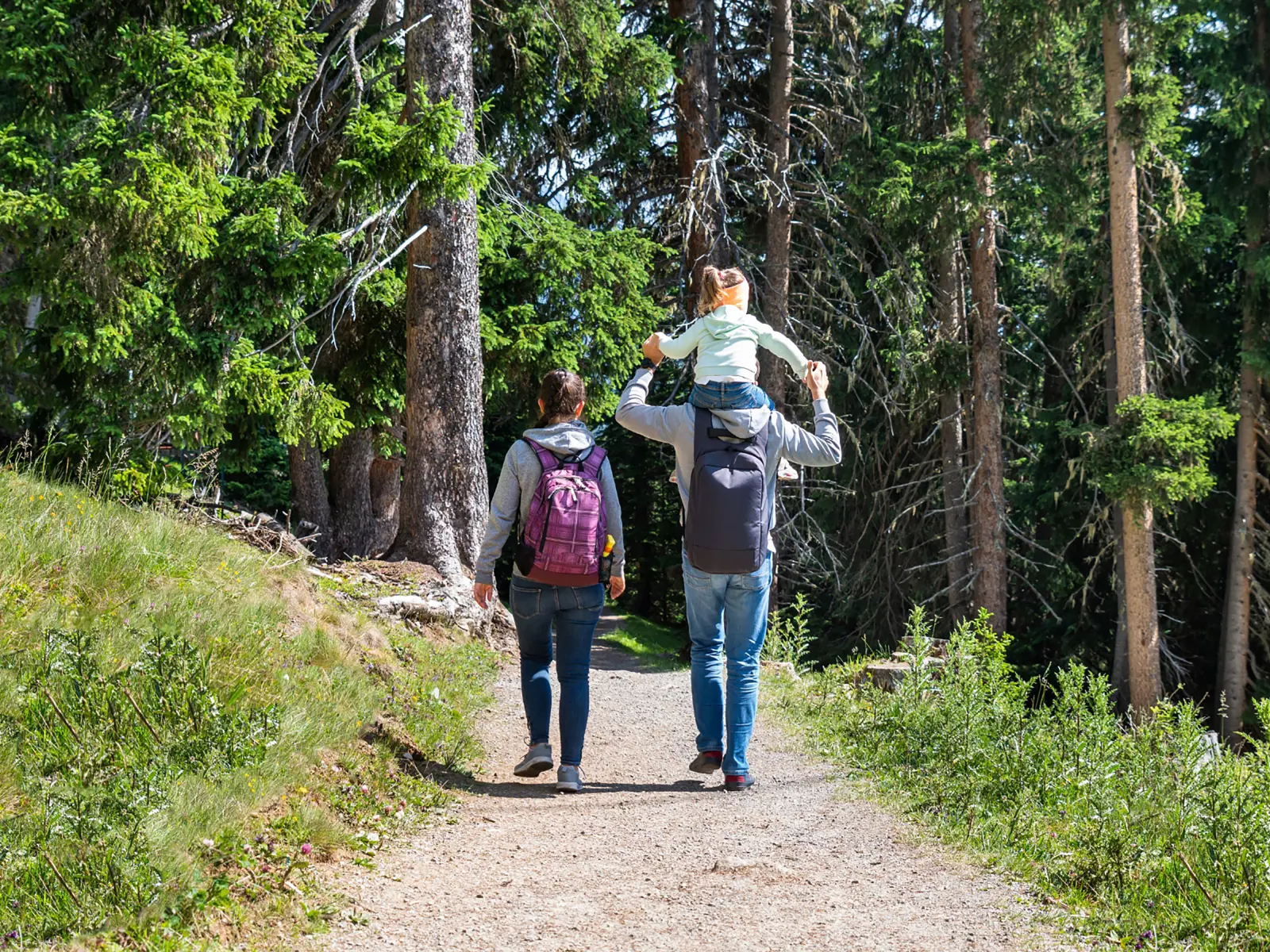 H.R. Frink Conservation Area | Quinte Conservation