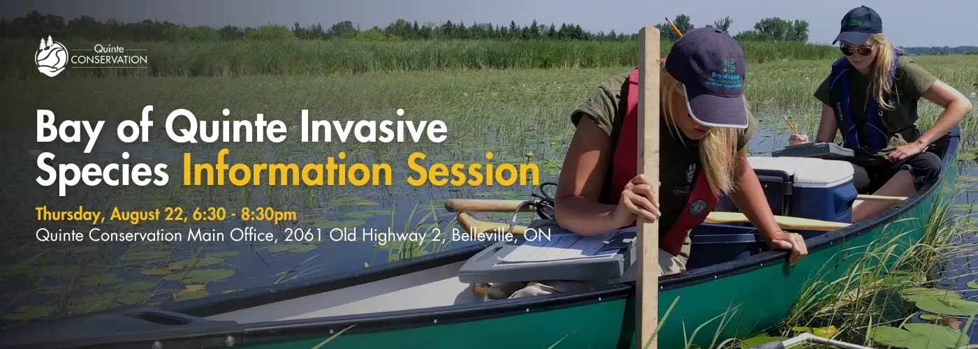 2024-07-31 PROTECT LOCAL WATERWAYS AT INVASIVES SPECIES EVENT | Quinte ...