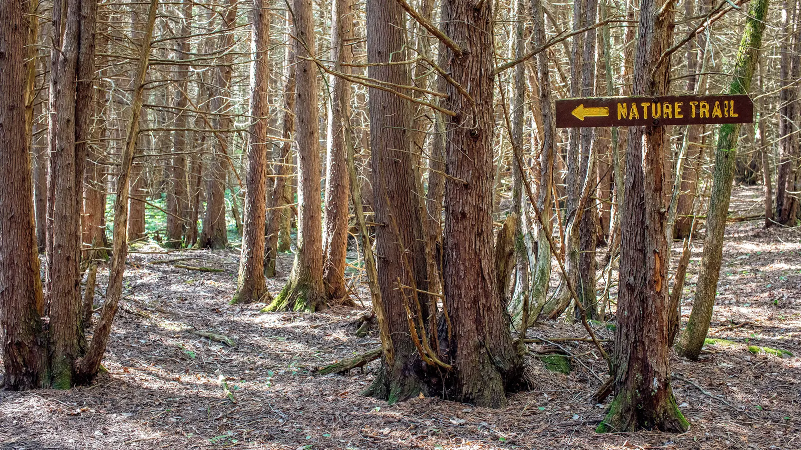 Vanderwater Conservation Area | Quinte Conservation