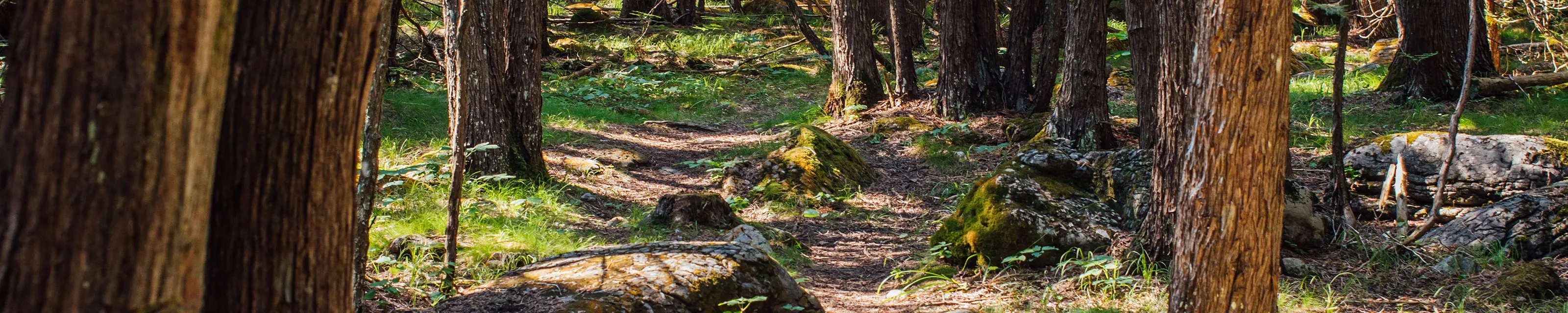 Conservation Areas | Quinte Conservation