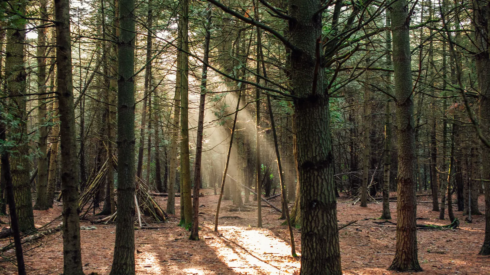 H.R. Frink Conservation Area | Quinte Conservation