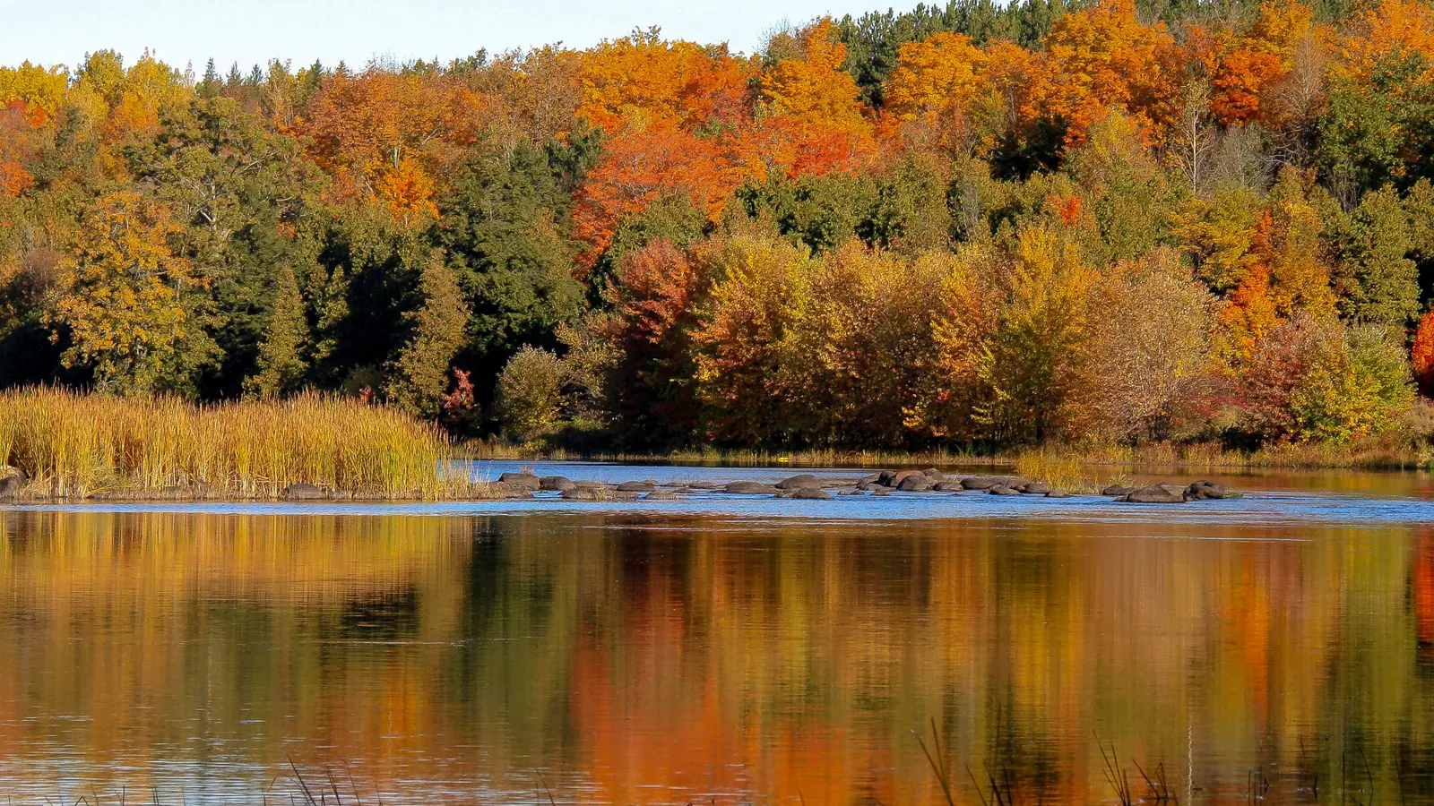Vanderwater Conservation Area | Quinte Conservation