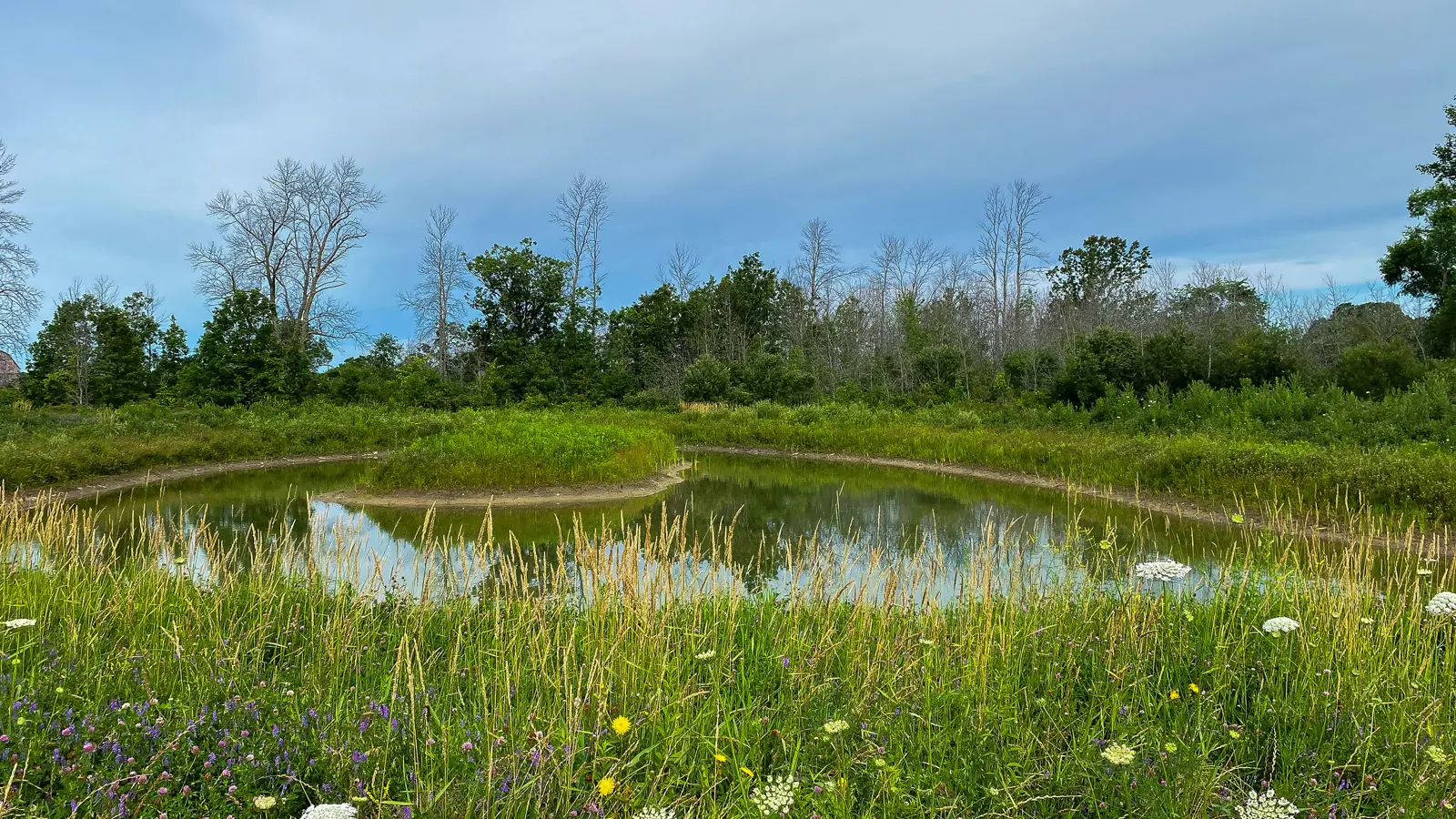 Potter's Creek North Conservation Area | Quinte Conservation
