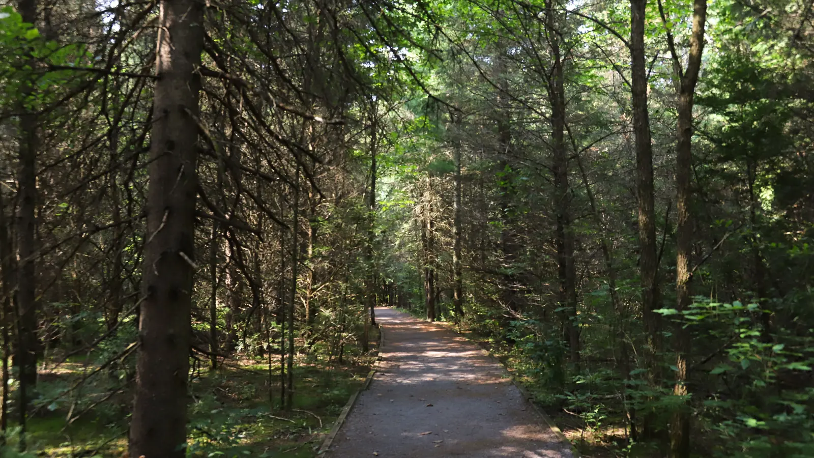 H.R. Frink Conservation Area | Quinte Conservation