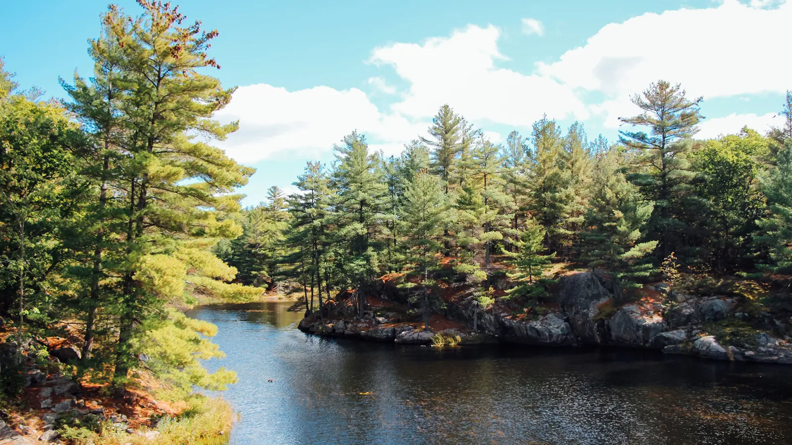 Depot Lakes Conservation Area | Quinte Conservation