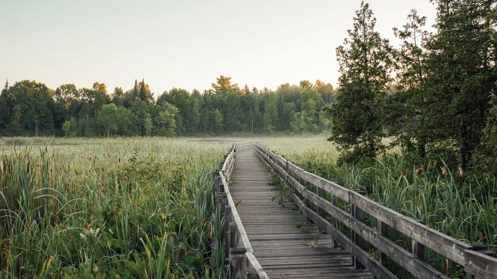 H.R. Frink Conservation Area | Quinte Conservation