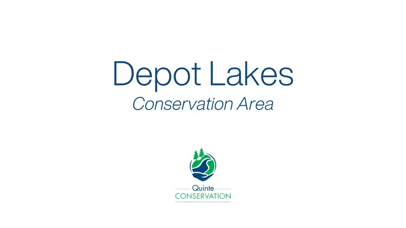 Depot Lakes Conservation Area | Quinte Conservation